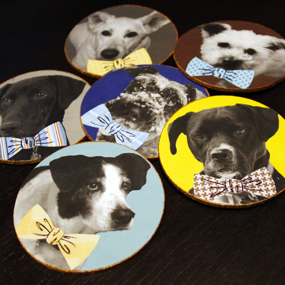 Debonair Dog Coasters - Blue i Style